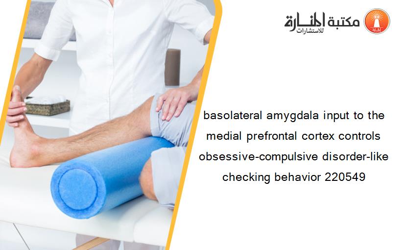 Basolateral Amygdala Input To The Medial Prefrontal Cortex C
